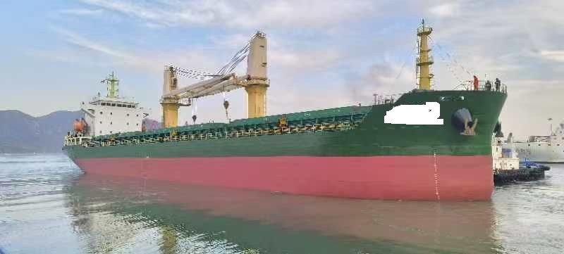 13,000DWT double bottom double hull bulk carrier for sale. - Ship for sale