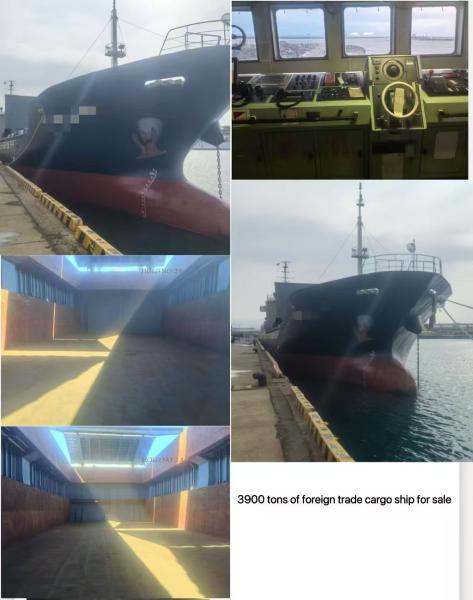 For Sale: 3,900-Ton Multi-Purpose Cargo Vessel (Unlimited Trading Area ...